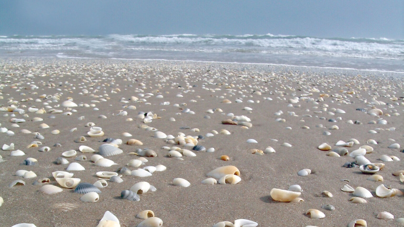 7 of The Best Beaches in Guatemala - Ocean Beach Bulletin