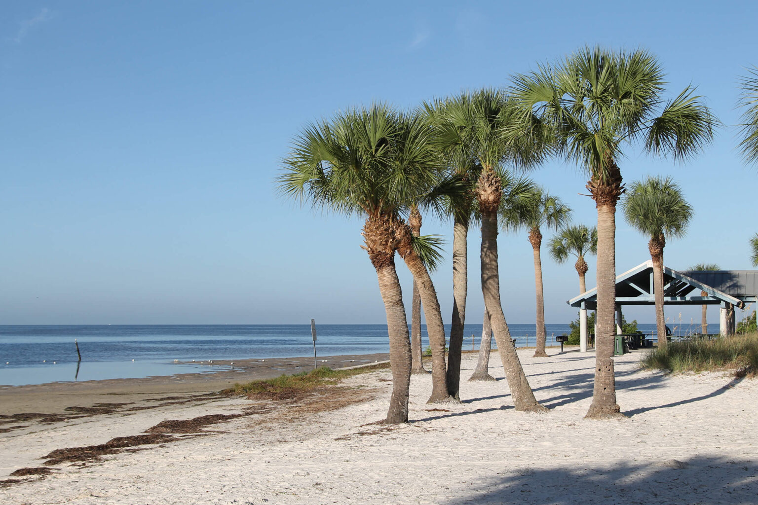 The Best New Port Richey Beaches in Florida - Ocean Beach Bulletin